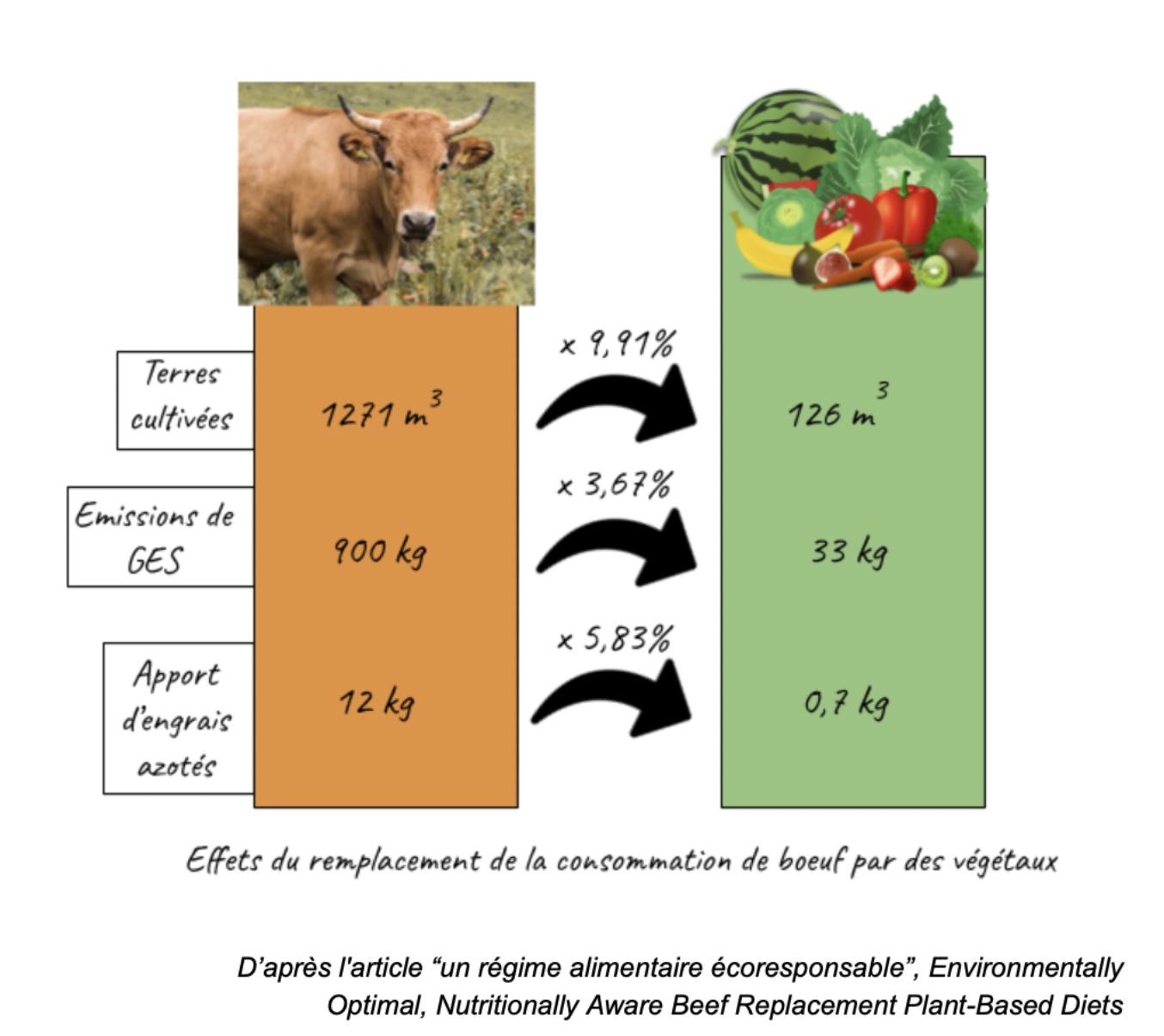 Les différents régimes alimentaires et leurs impacts environnementaux ...